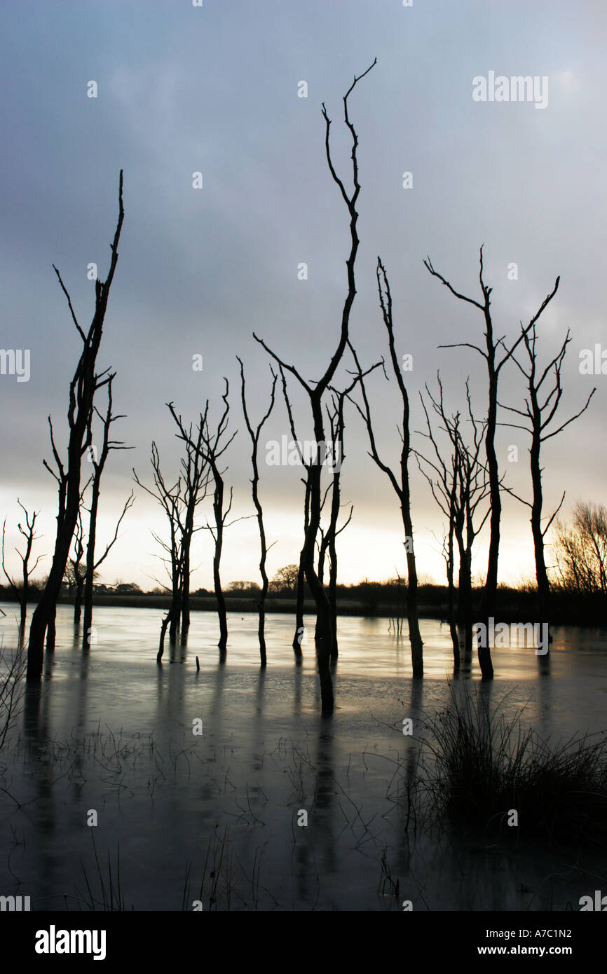 Bleak winter scene hi-res stock photography and images - Alamy