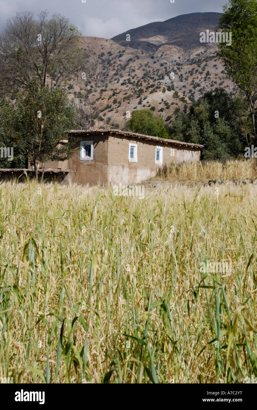 Western atlas hi-res stock photography and images - Alamy