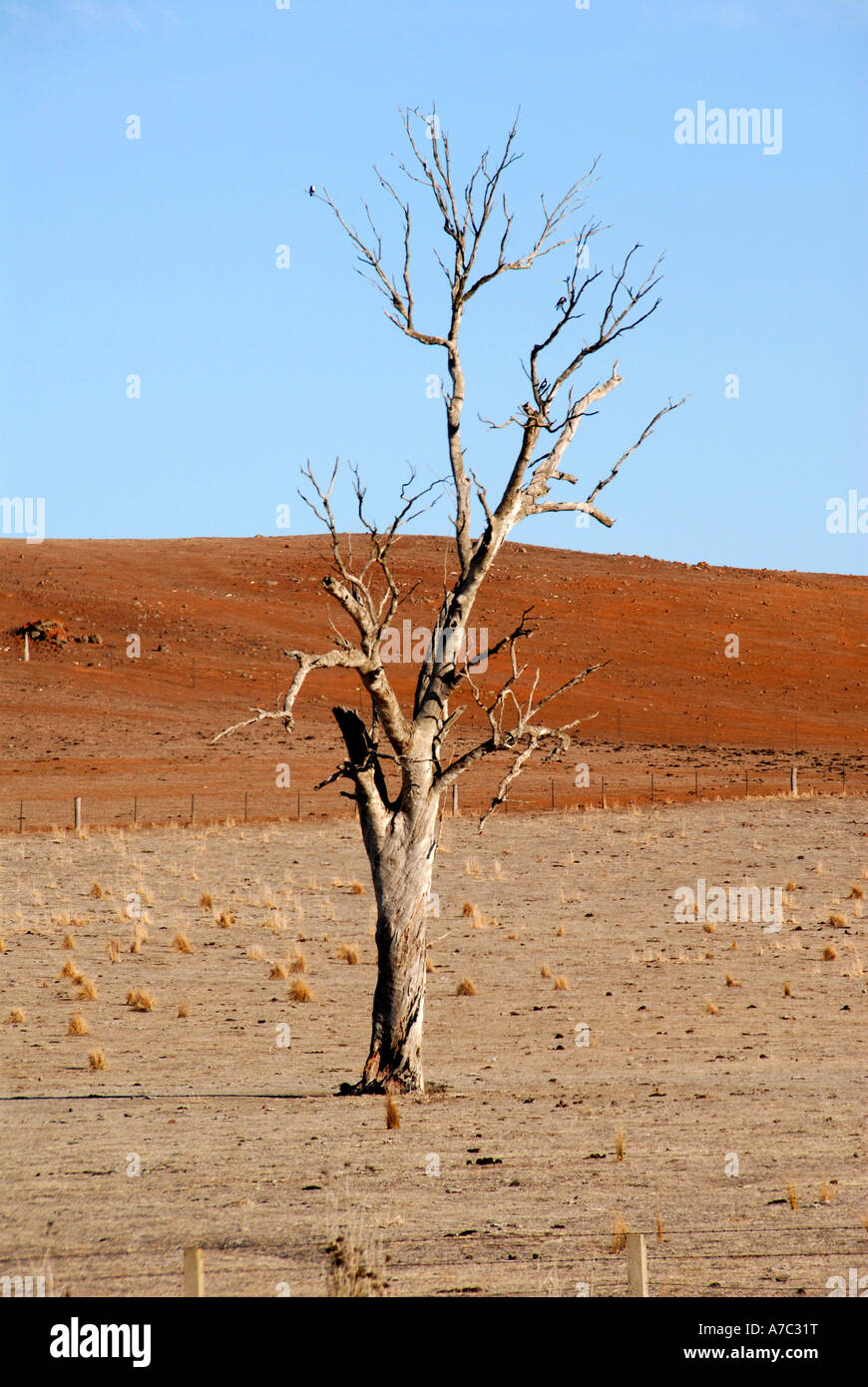 Southern tablelands hi-res stock photography and images - Alamy