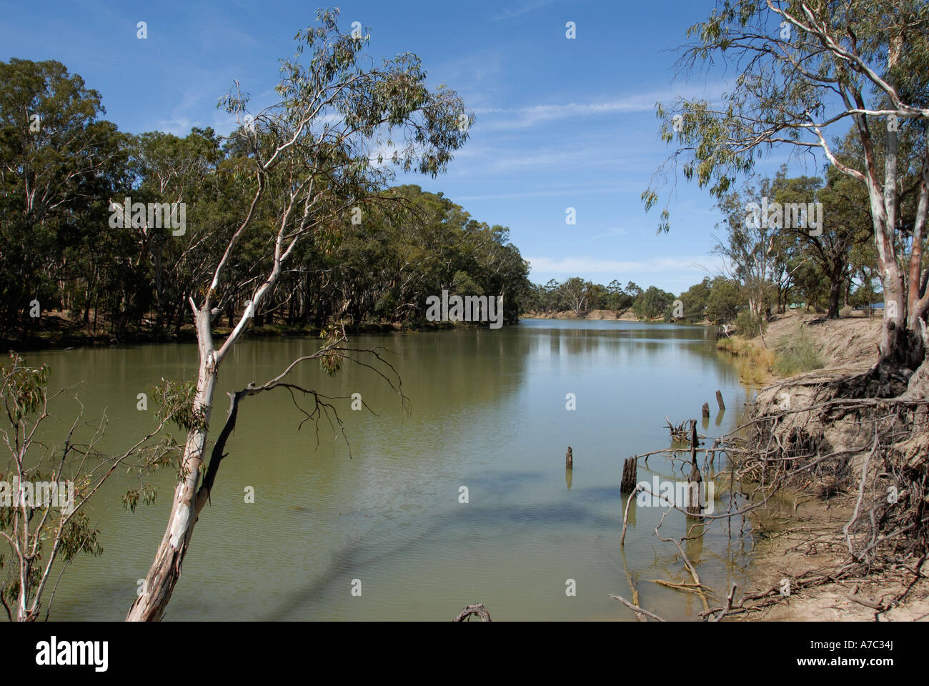 Banks of the Murray River NSW Australia Stock Photo - Alamy