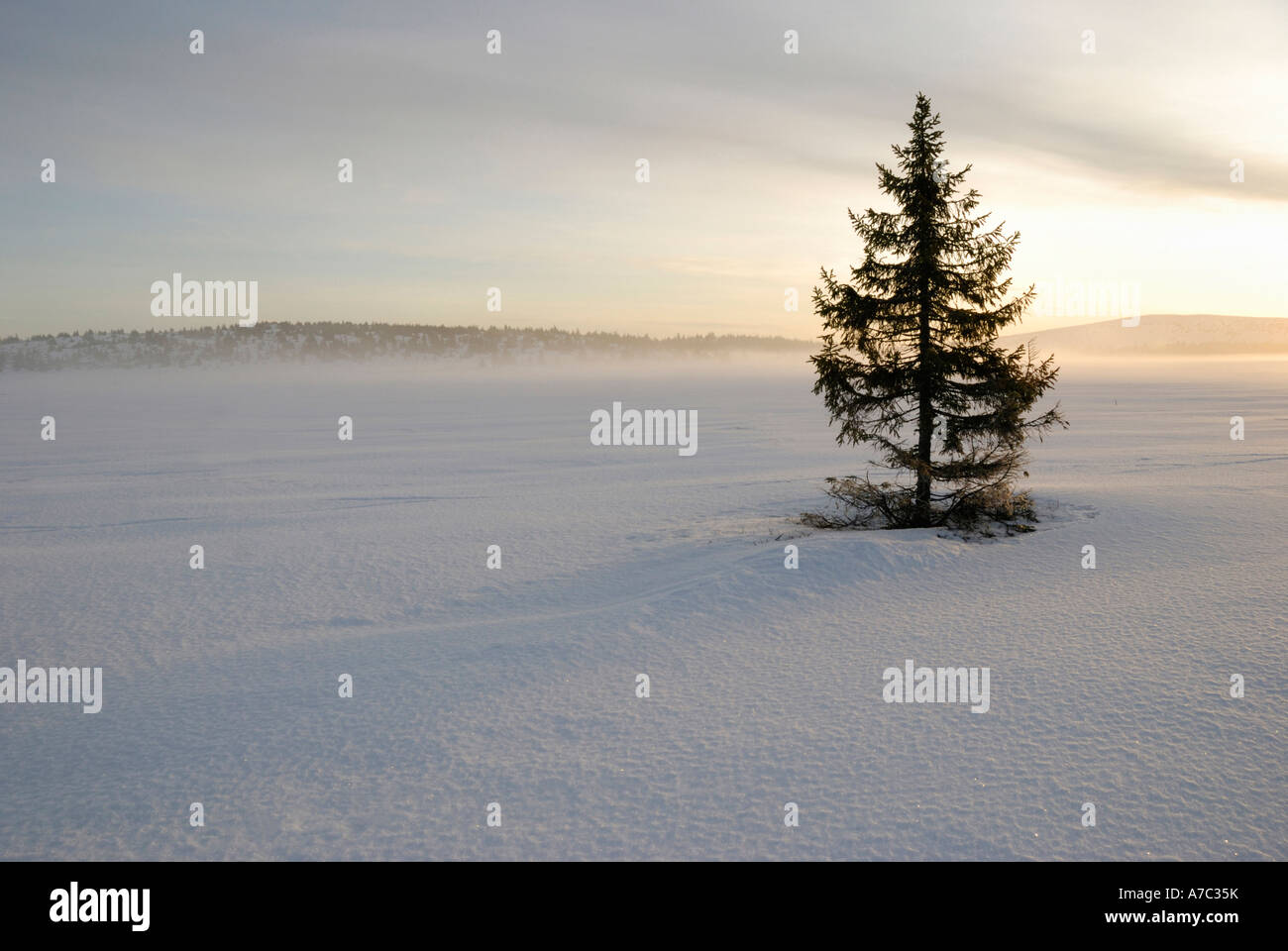 Sjusjoen hi-res stock photography and images - Alamy