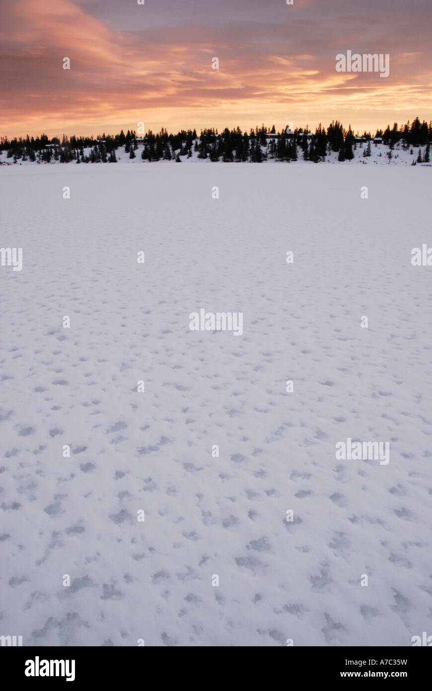 Sjusjoen hi-res stock photography and images - Alamy