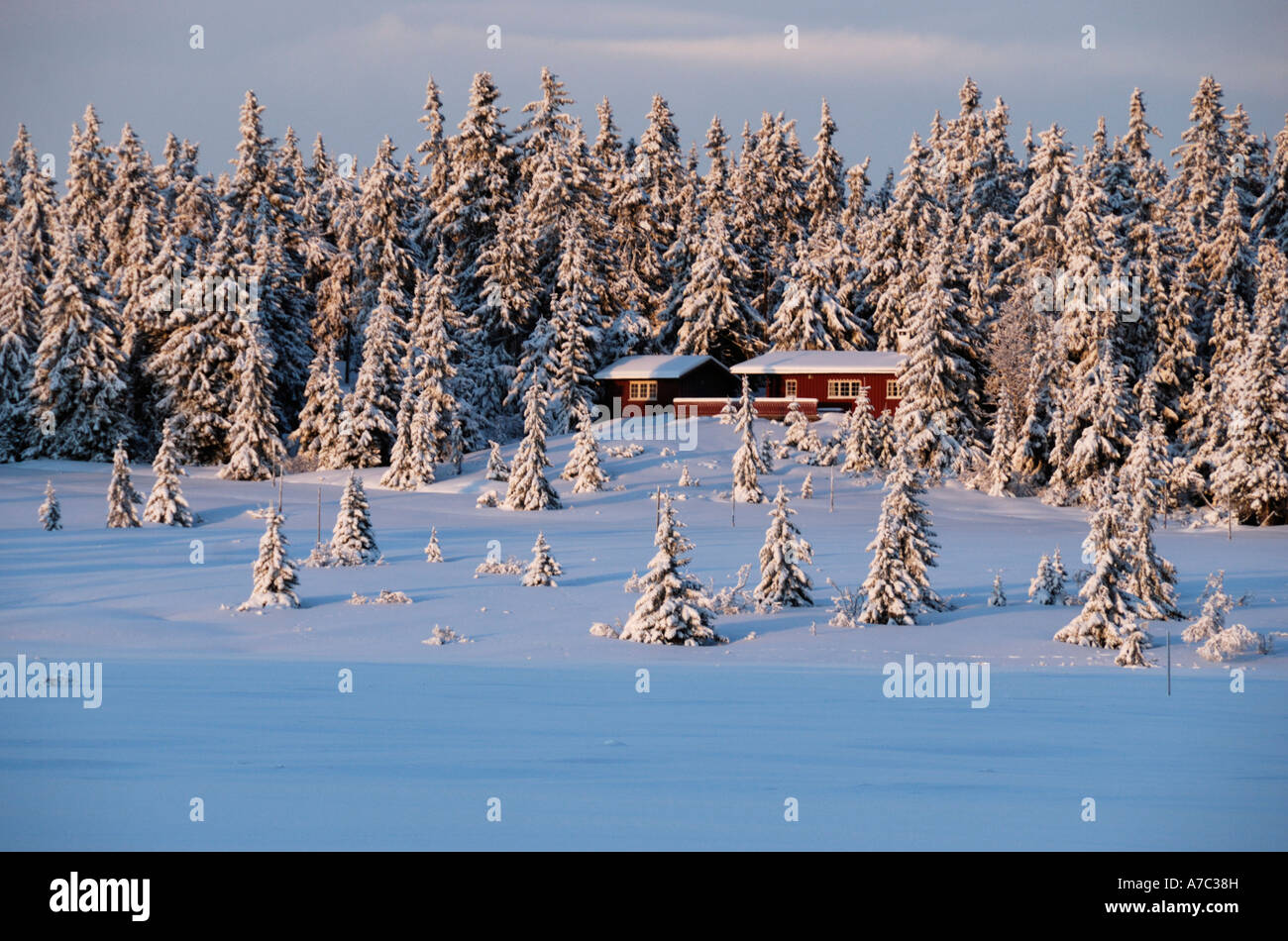 Log cabin in forest Sjusjoen Norway Stock Photo - Alamy