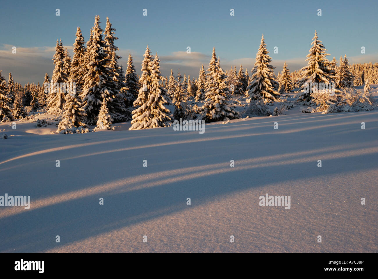 Sjusjoen hi-res stock photography and images - Alamy