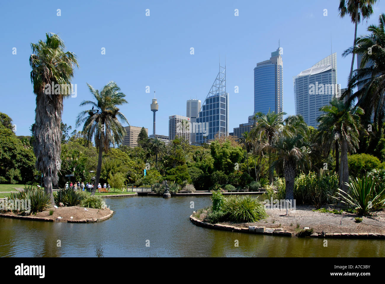 Botanical Gardens Sydney NSW Australia Stock Photo - Alamy