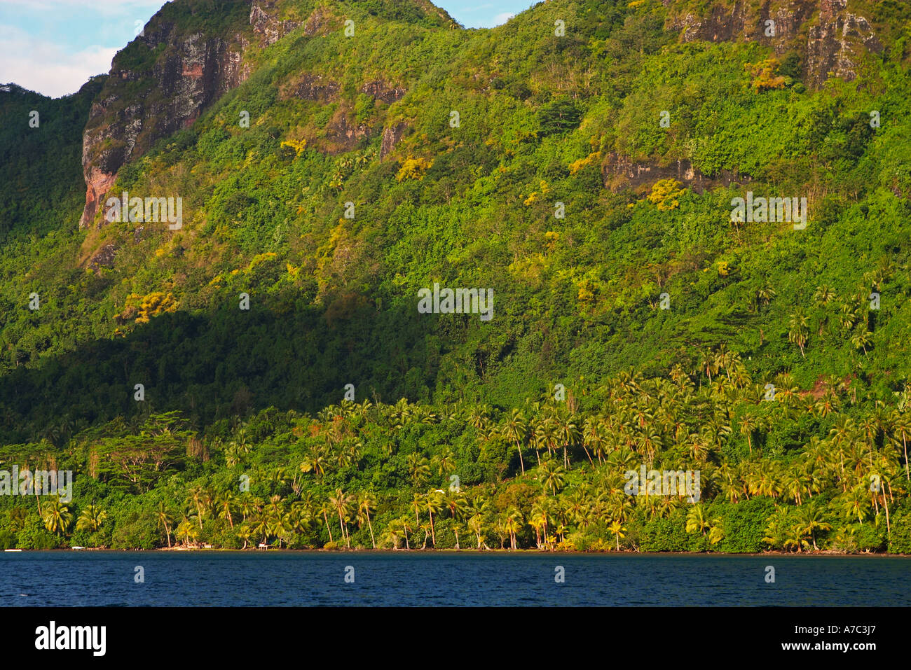 Dramatic cliffs and beautiful coconut grooves Cook Bay Moorea French ...