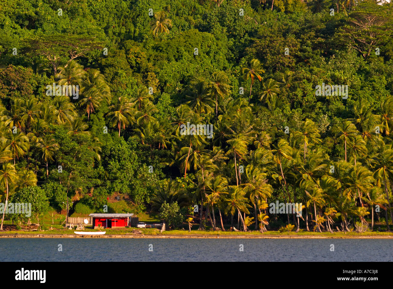 Dramatic cliffs and beautiful coconut grooves Cook Bay Moorea French ...