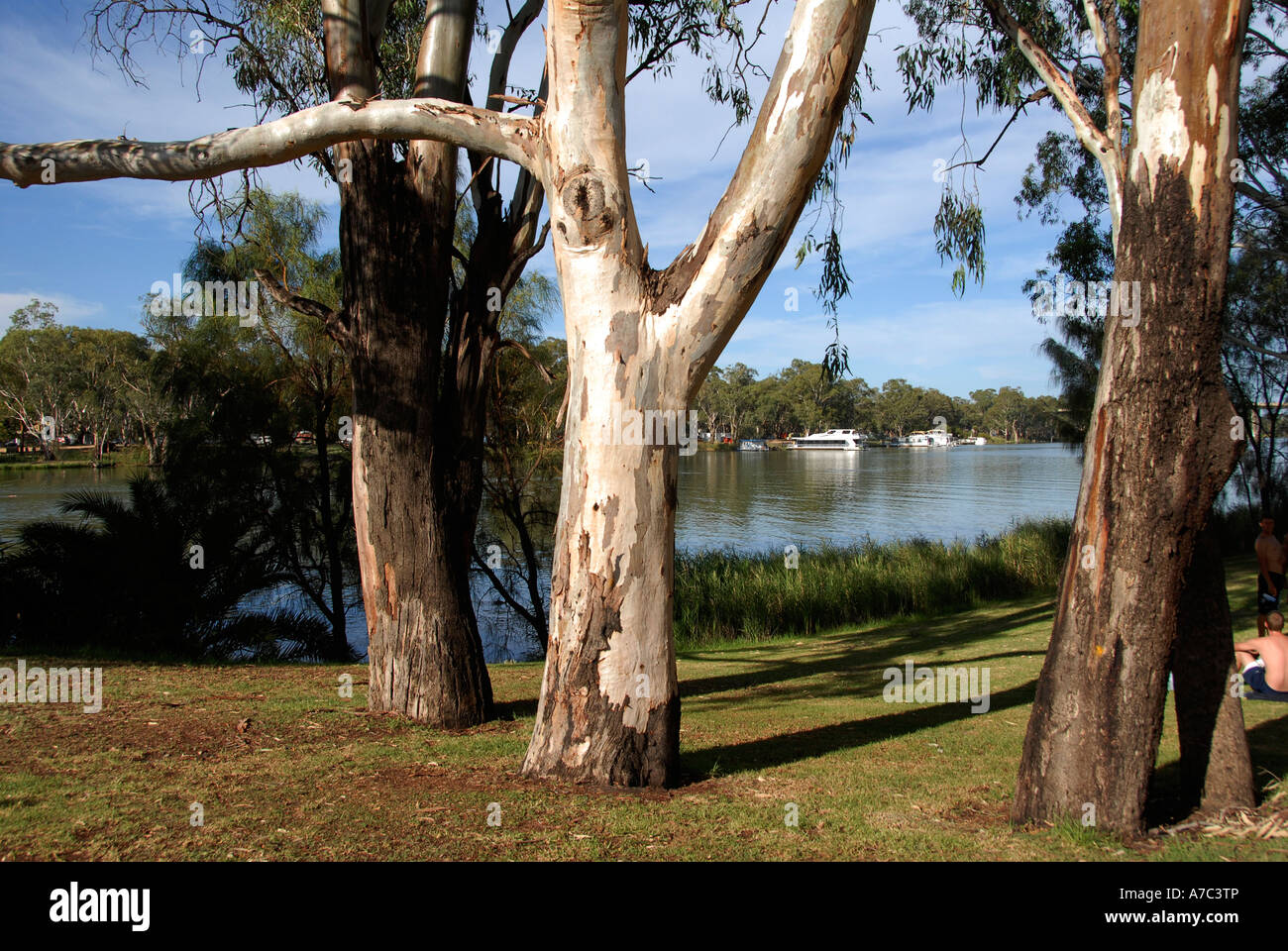 Murray River Mildura Victoria Australia Stock Photo - Alamy
