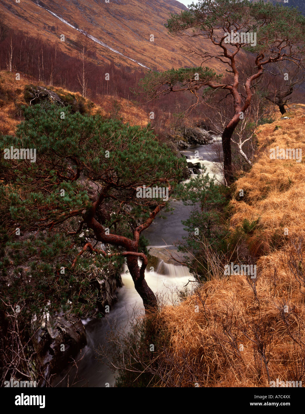 Lower caledonia hi-res stock photography and images - Alamy