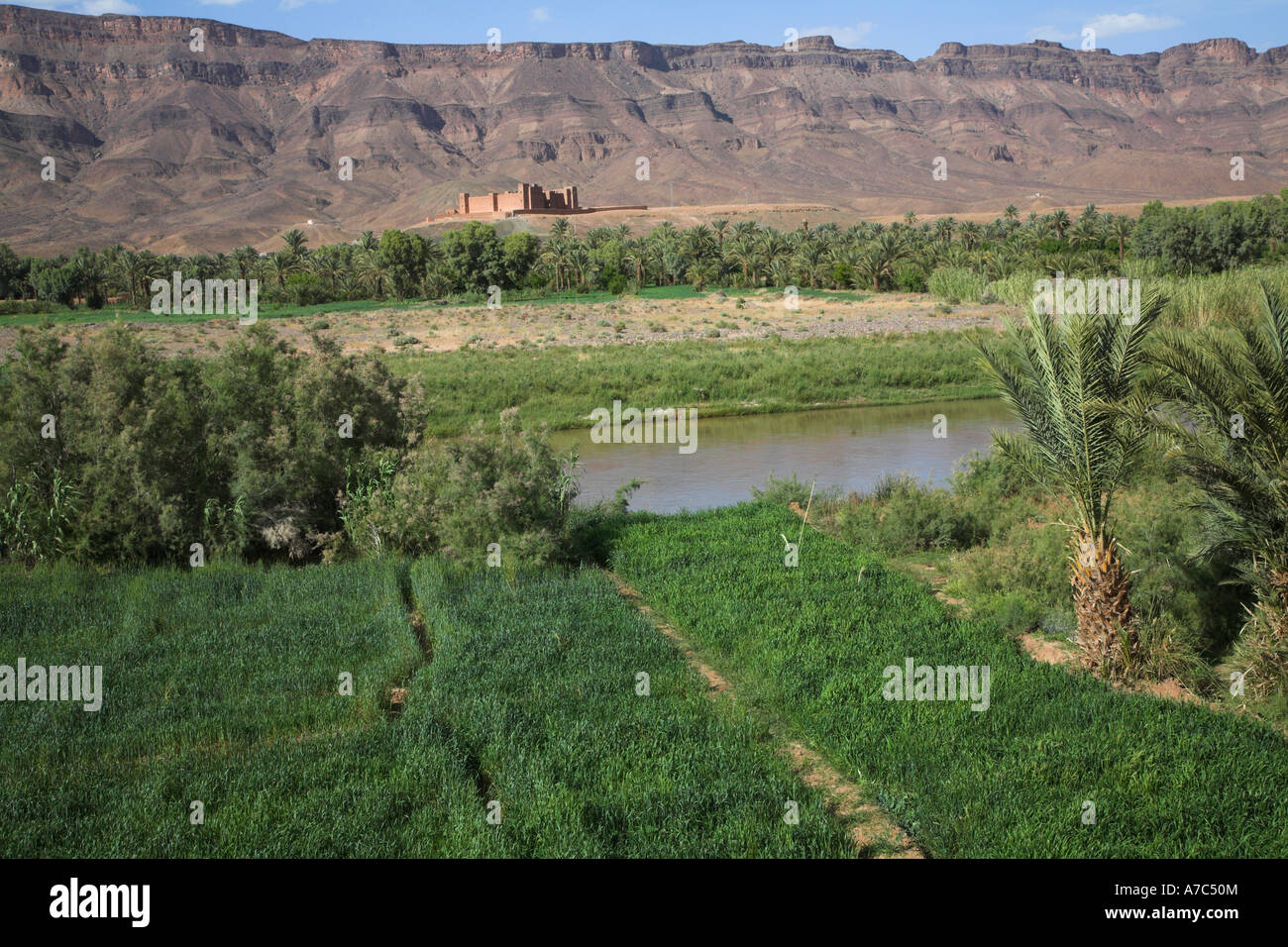 The ksar of Tamnougalt, Draa river valley, Morocco Stock Photo - Alamy