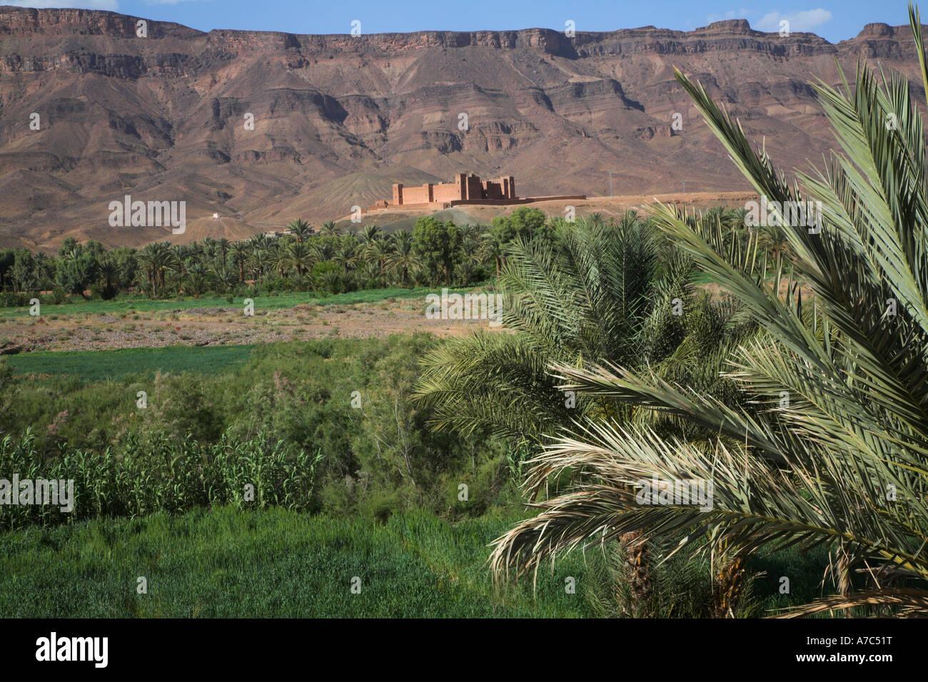 The ksar of Tamnougalt, Draa river valley, Morocco Stock Photo - Alamy