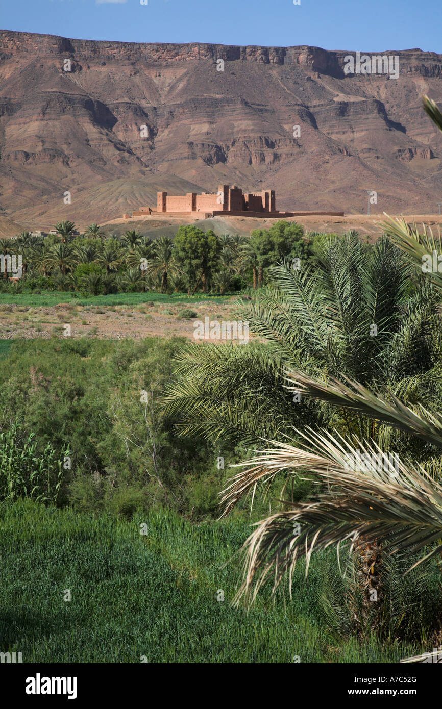 The ksar of Tamnougalt, Draa river valley, Morocco Stock Photo - Alamy