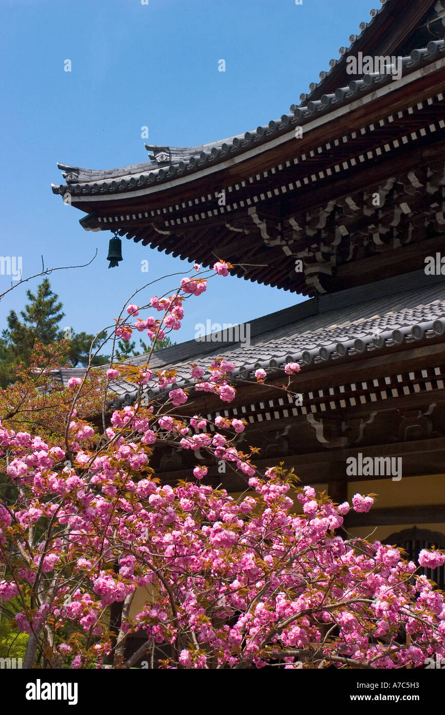 Temple and cherry blossom Kyoto Japan Stock Photo - Alamy