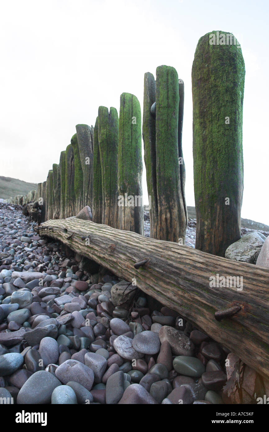 Groins coastal protection on pebble beach in North Devon UK Stock Photo ...
