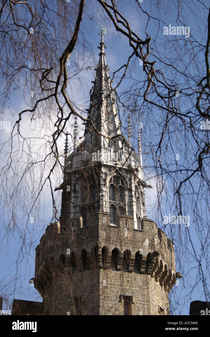 Gothic castle tower Cardiff Castle with twigs from a tree hanging down ...