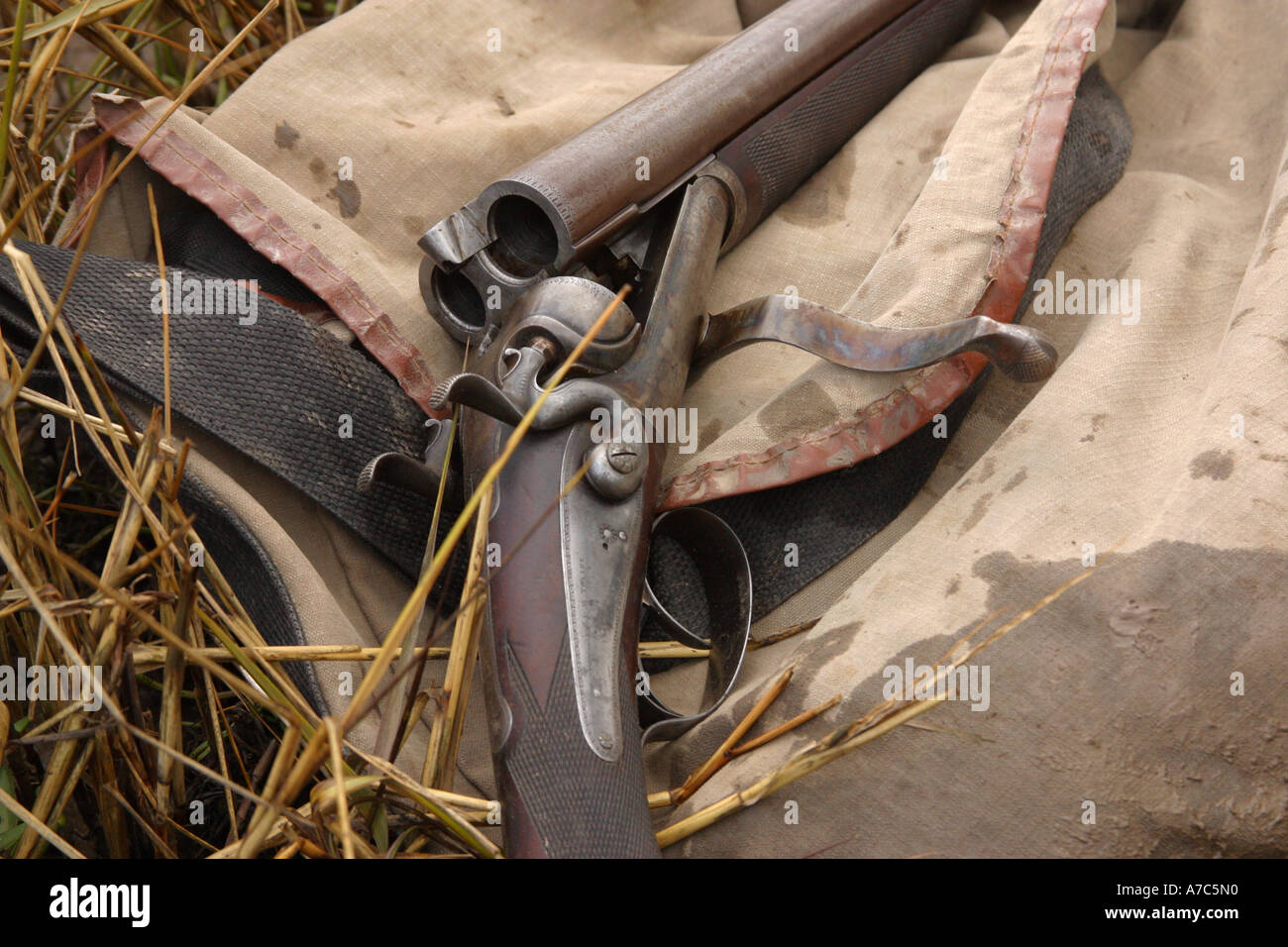 Old shotgun, hammer gun, old sporting gun resting on bag in reeds of a ...