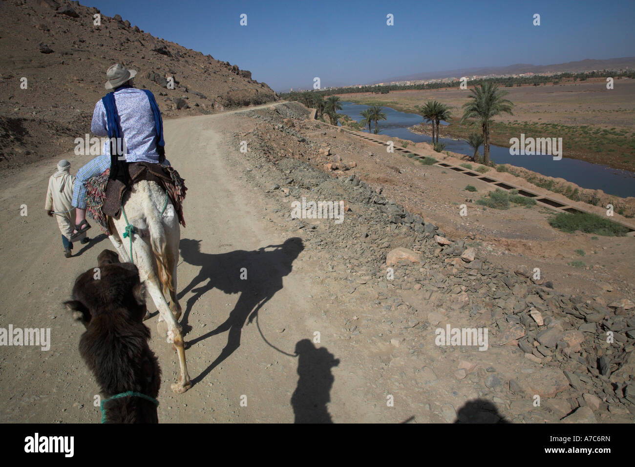 Camel ride past irrigation channel and river Sahara desert Zagora ...