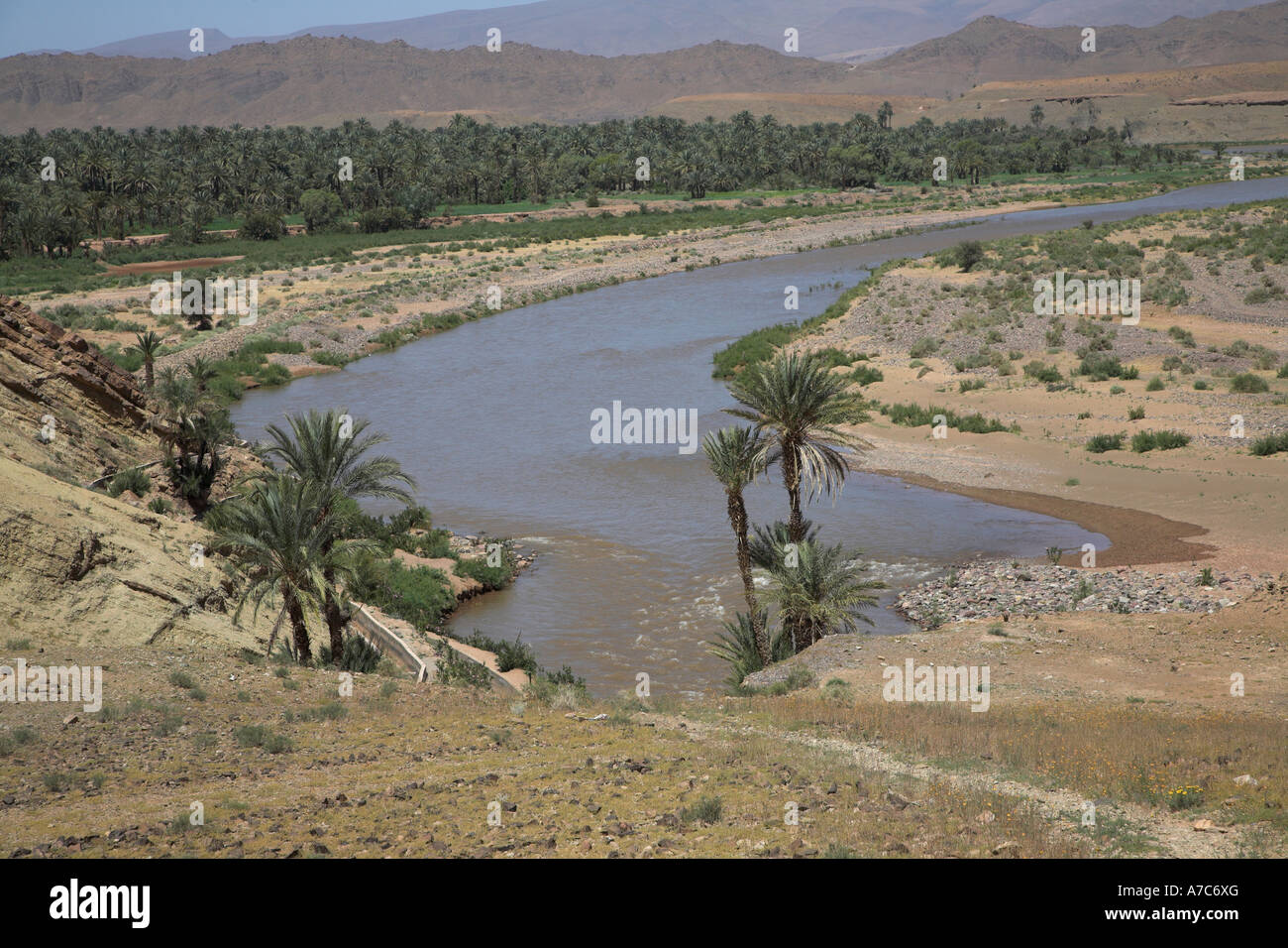 Meander in River Draa showing valley date palm gardens and barren hills ...