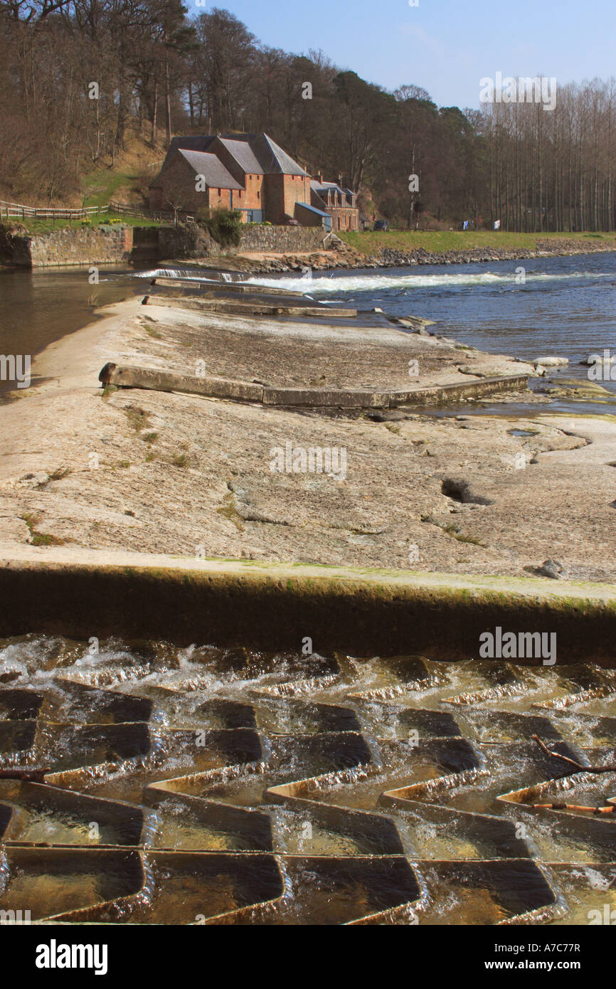 Metal grid to help Salmon swim upstream on the River Tweed at St ...