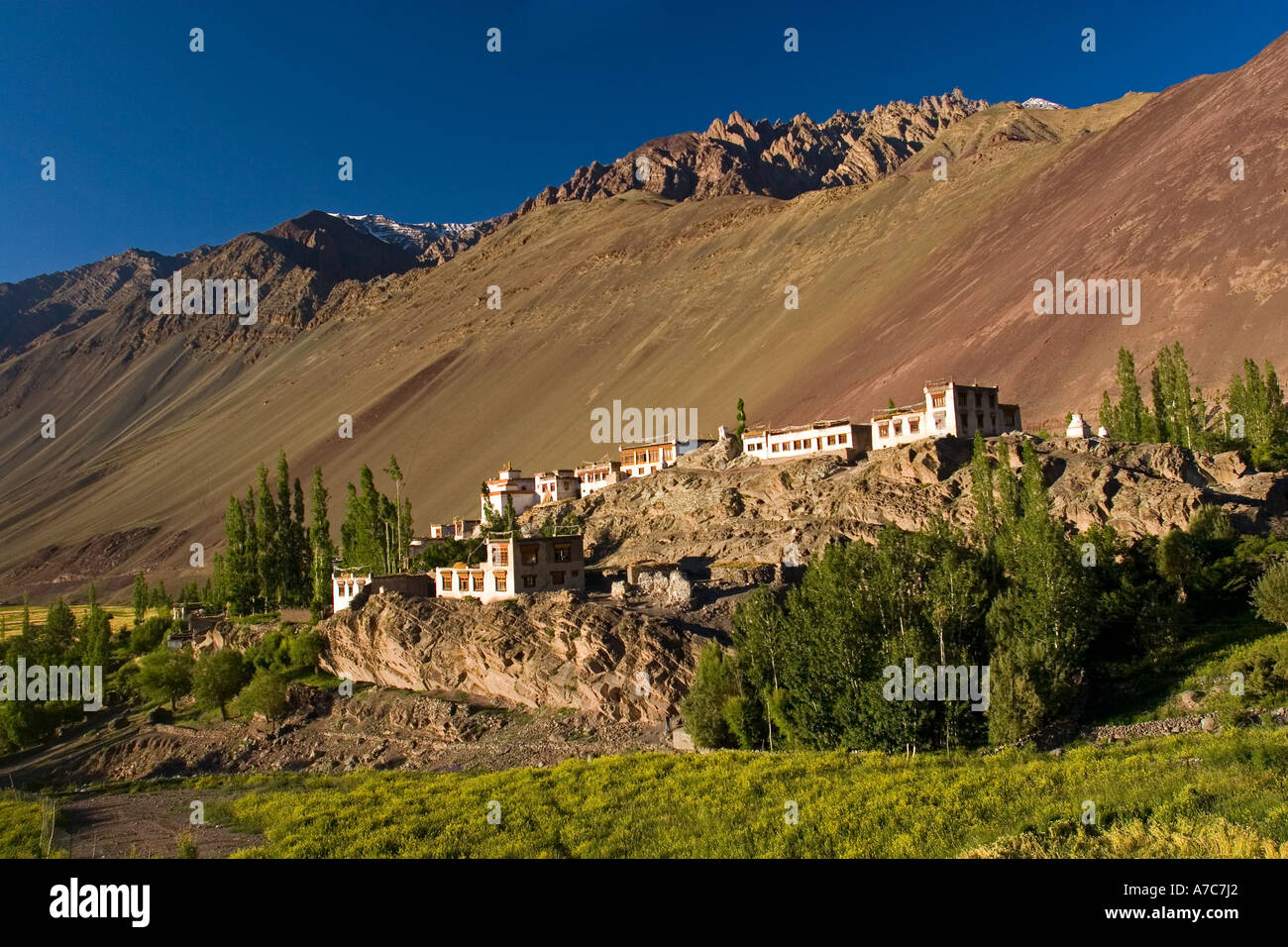 The village of Alchi Ladakh Idian Himalaya Stock Photo - Alamy