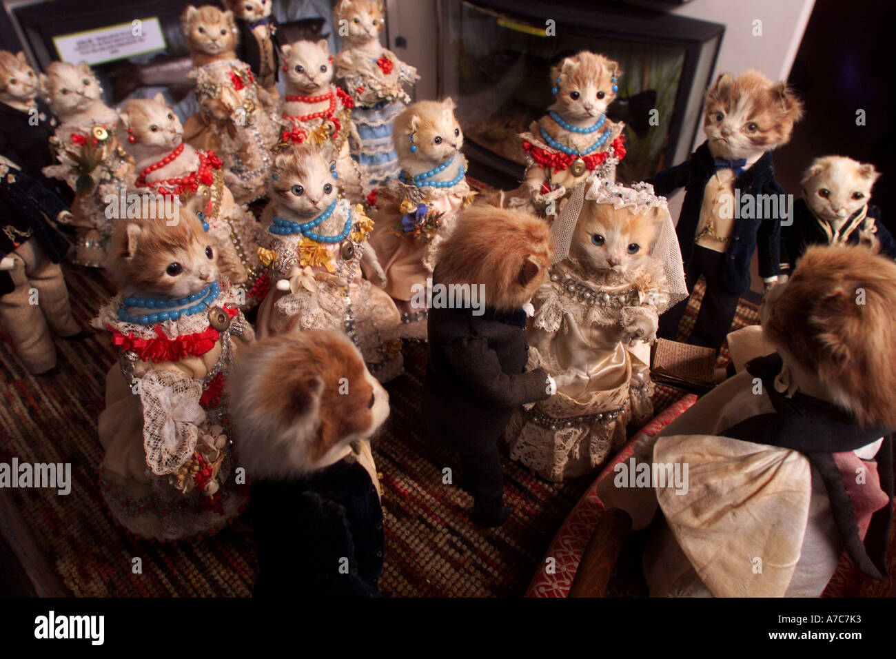 Walter potter hi-res stock photography and images - Alamy