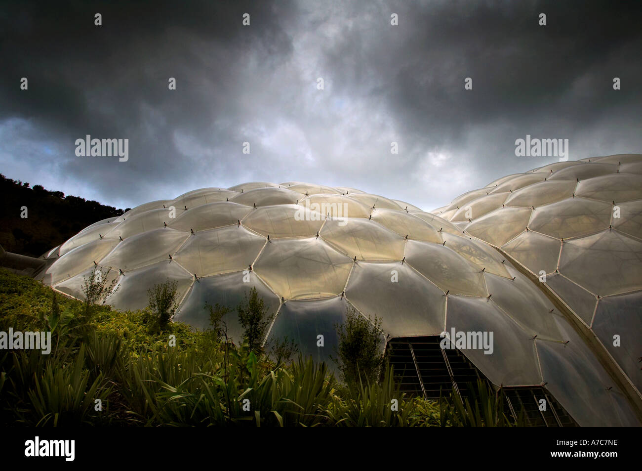 Humid tropics biome hi-res stock photography and images - Alamy