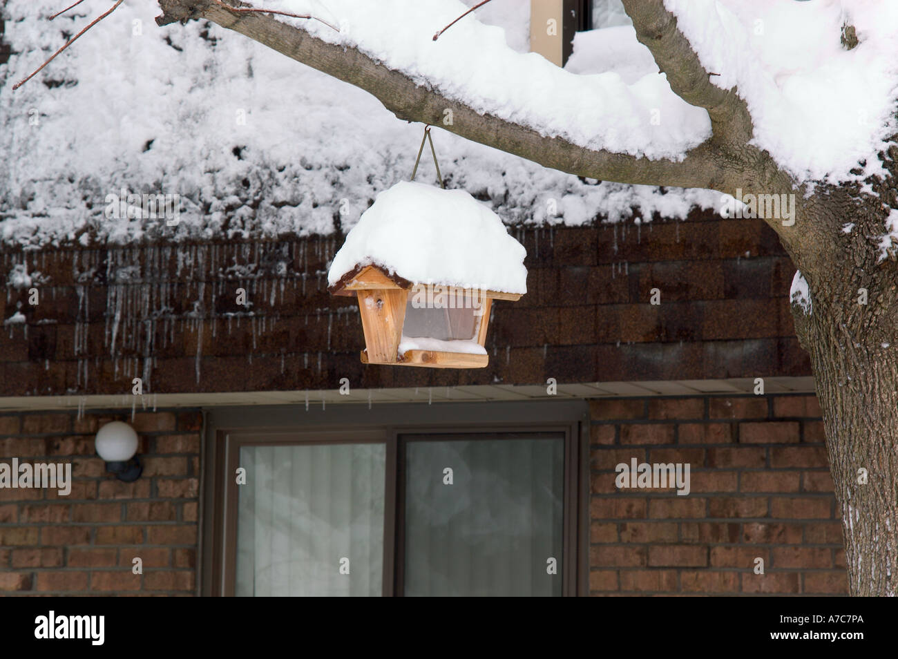 Starling house hi-res stock photography and images - Alamy