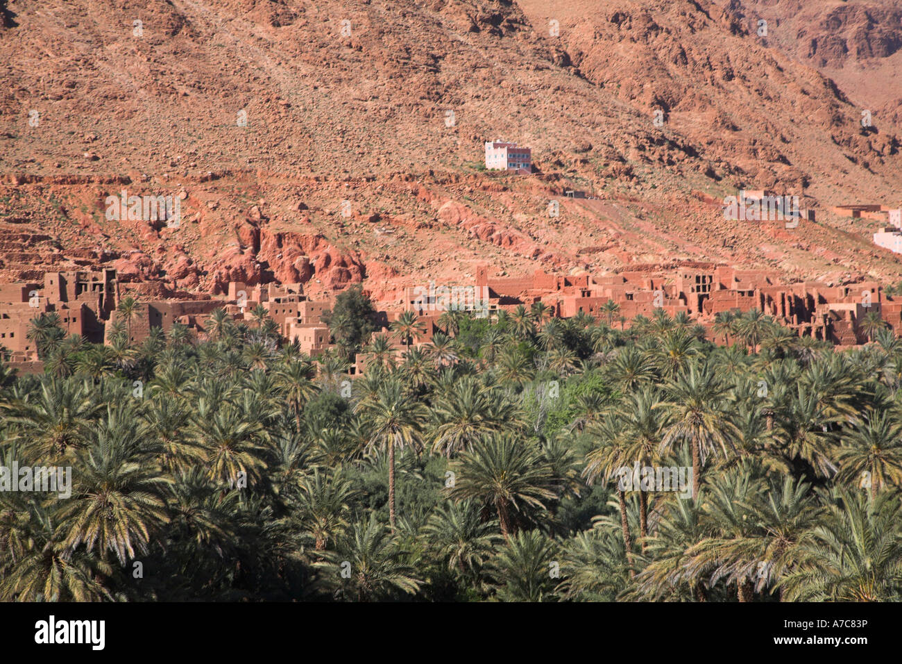 Contrast between barren desert, green fertile palm trees in valley ...