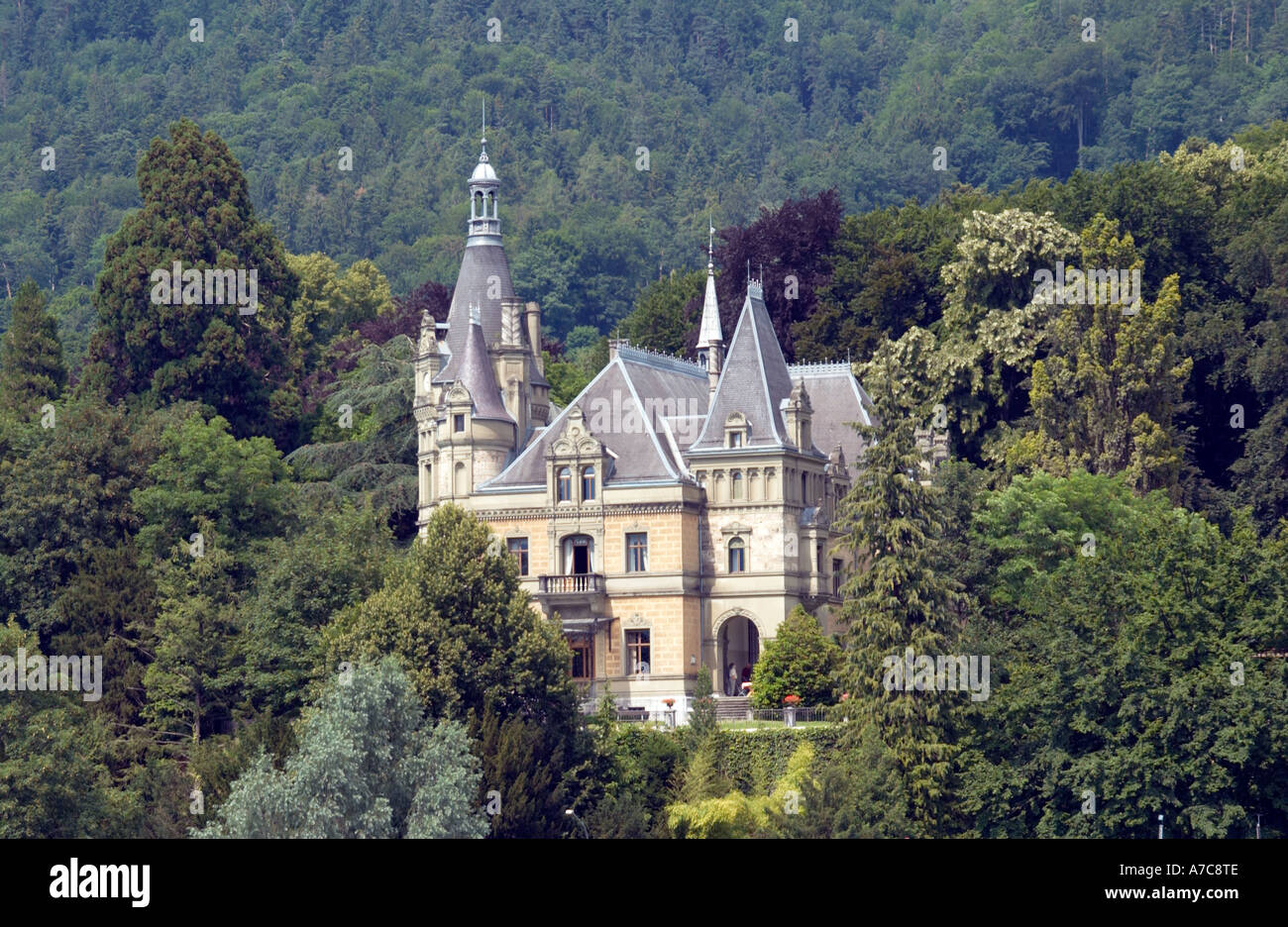 House in forest on edge of Lake Thun, Switzerland Stock Photo - Alamy