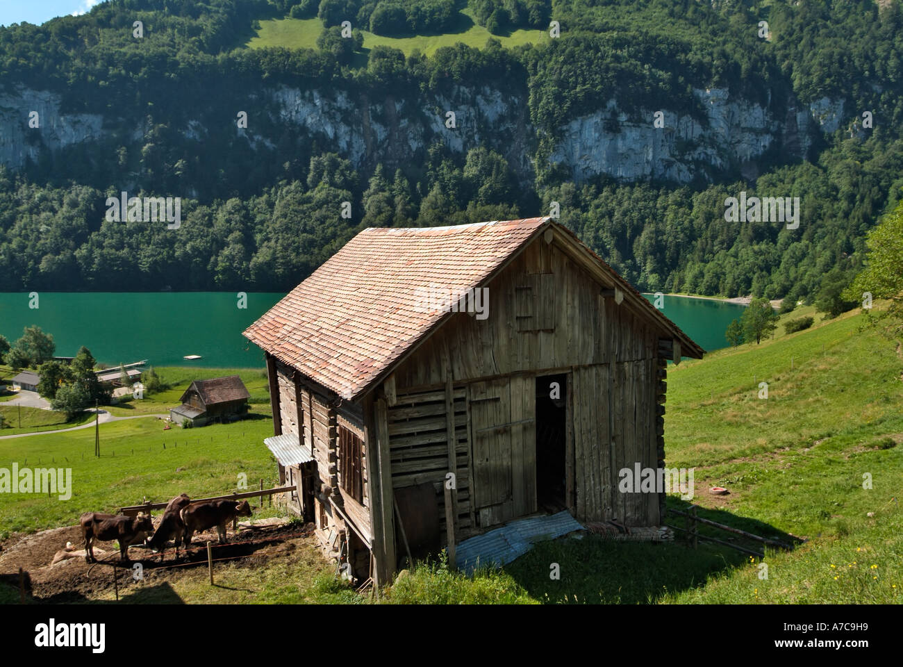 Typical barns in alpine landscape Seelisberg Switzerland Stock Photo ...