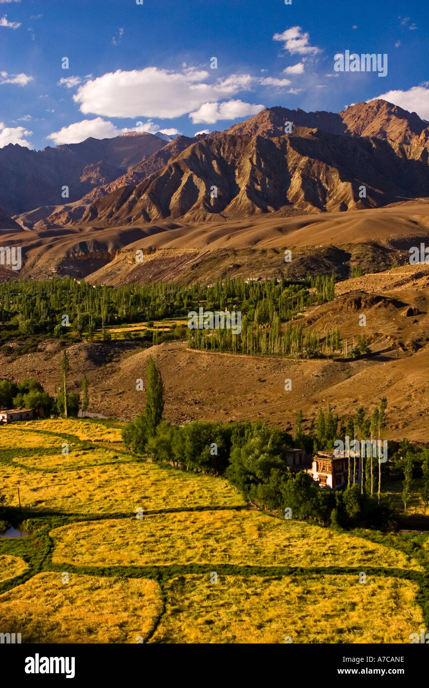 The valley near the village of Alchi Ladakh Indian Himalaya Stock Photo ...
