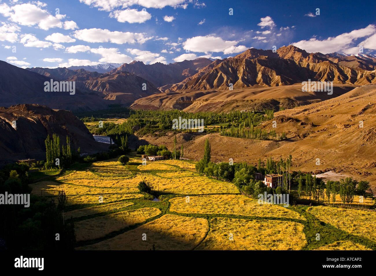 The valley near the village of Alchi Ladakh Indian Himalaya Stock Photo ...