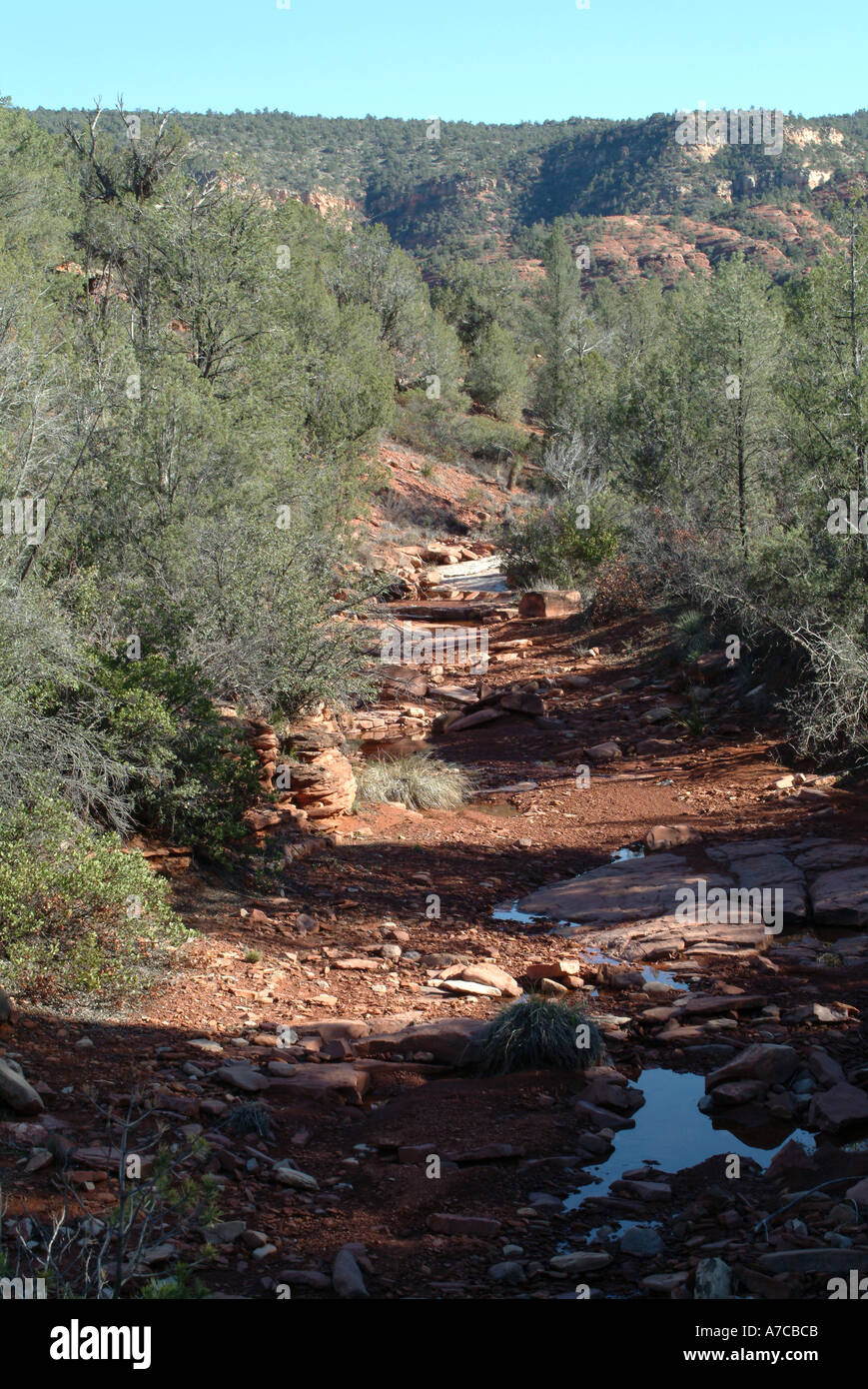 Dried Up River Bed at Red Rock State Park Arizona Stock Photo - Alamy