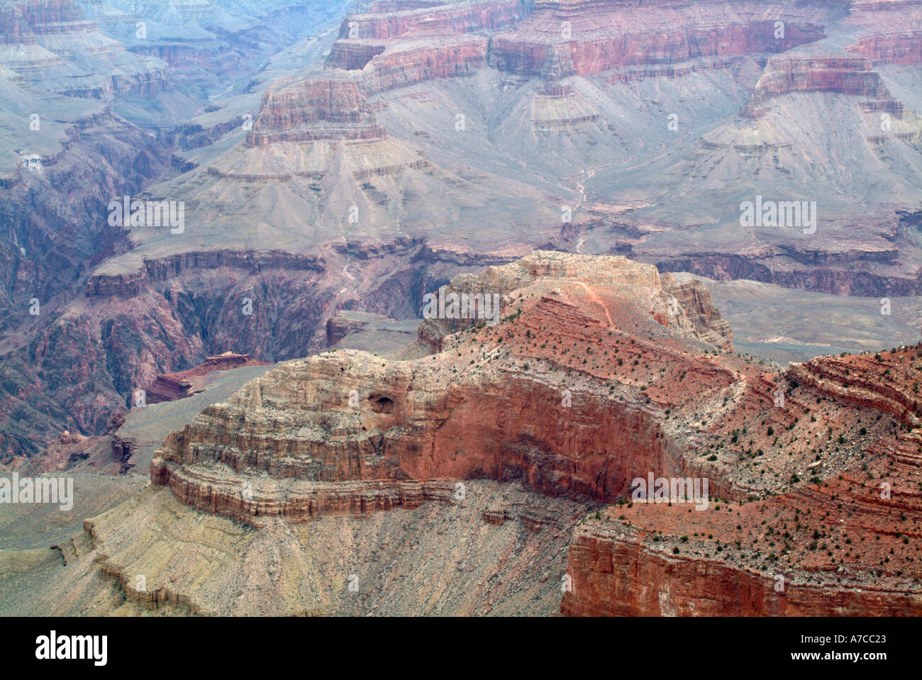 Bright angel shale hi-res stock photography and images - Alamy