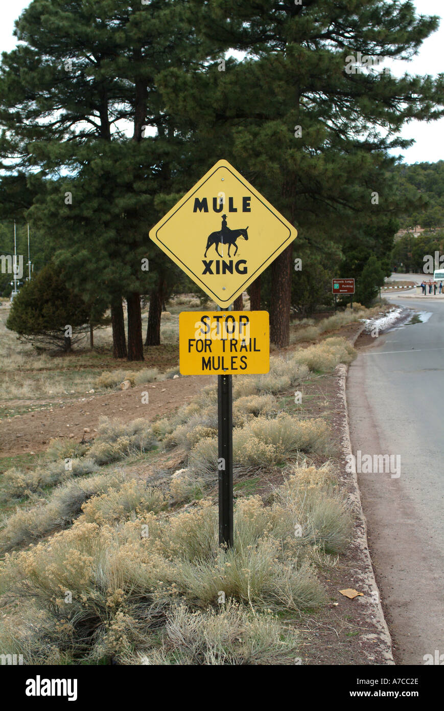 Donkey crossing sign hi-res stock photography and images - Alamy