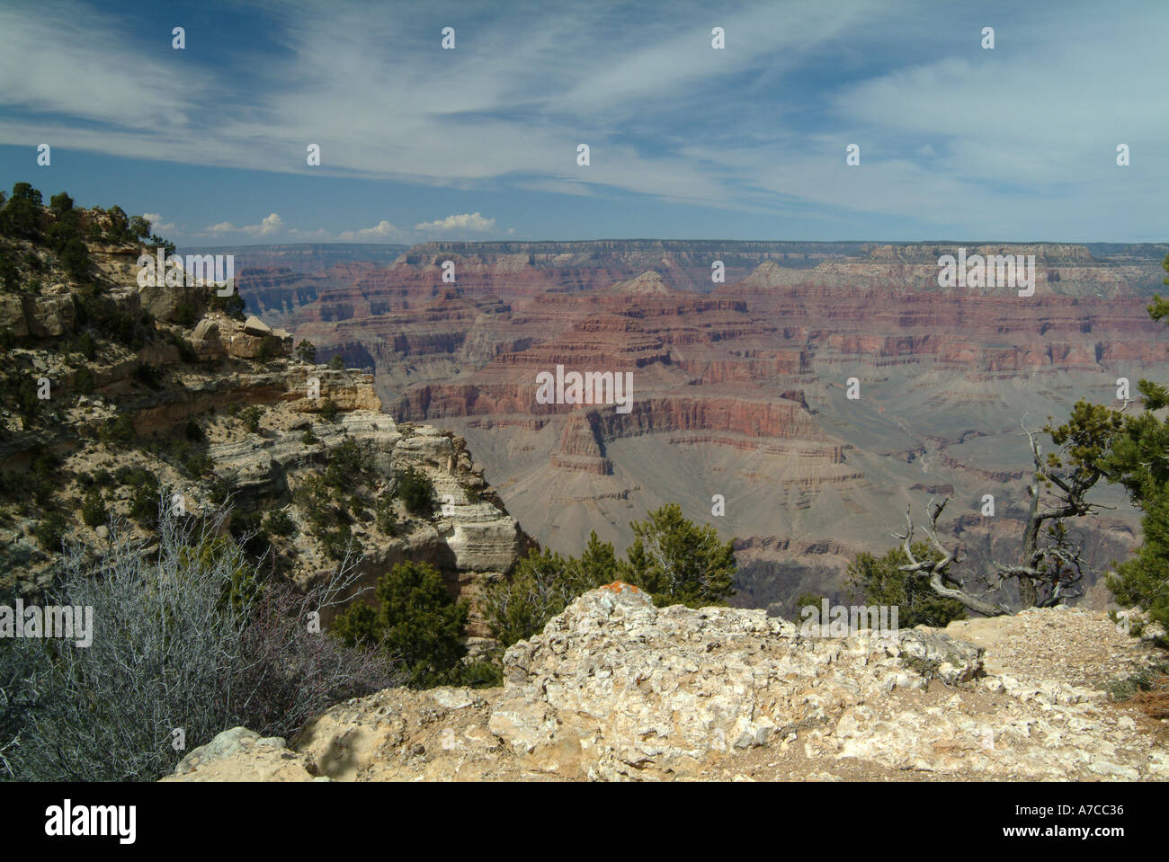 Grand canyon trees hopi point hi-res stock photography and images - Alamy