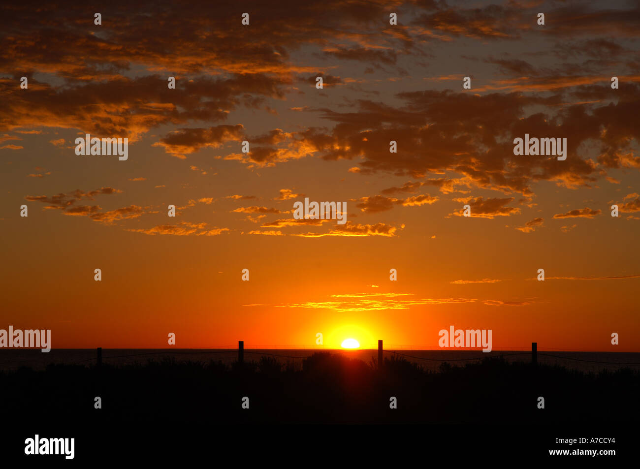 Aldinga beach hi-res stock photography and images - Alamy