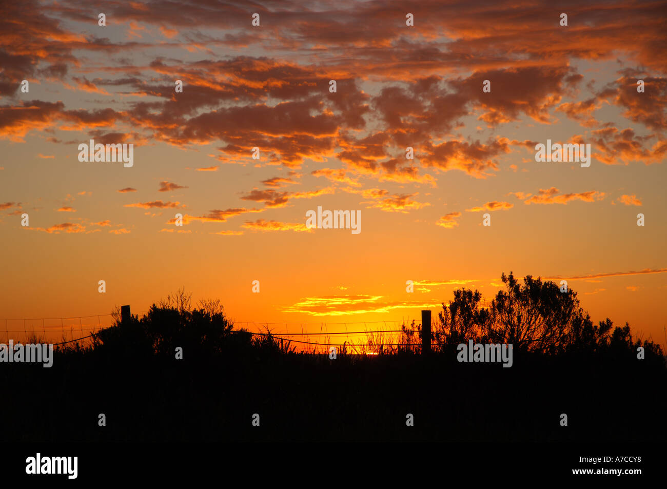 Coast at aldinga beach hi-res stock photography and images - Alamy