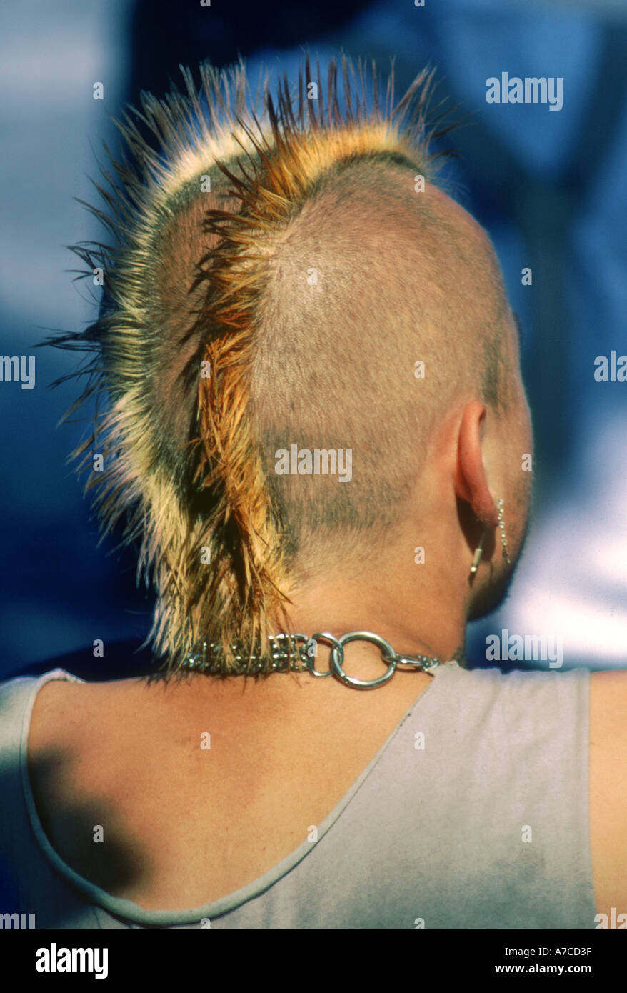 Punk with mohican hi-res stock photography and images - Alamy