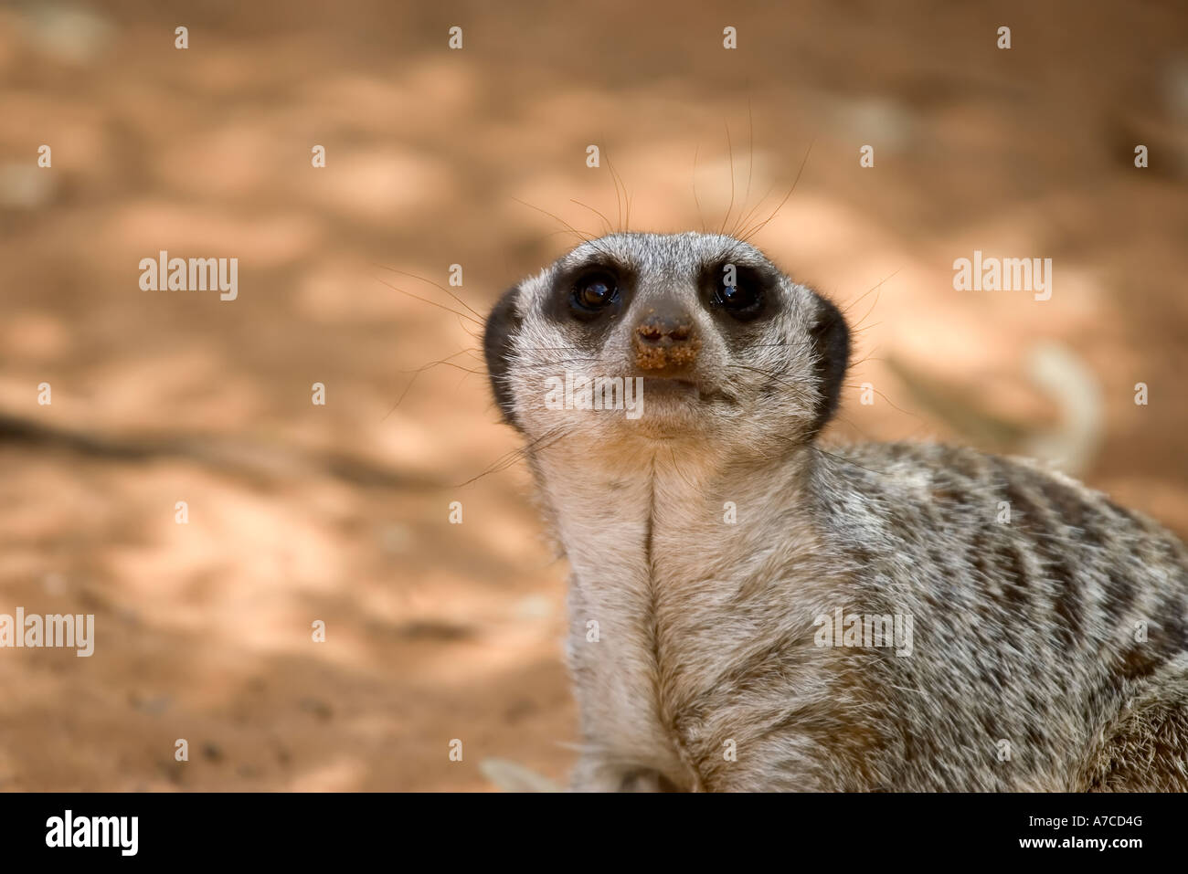 Bottom corner hi-res stock photography and images - Alamy