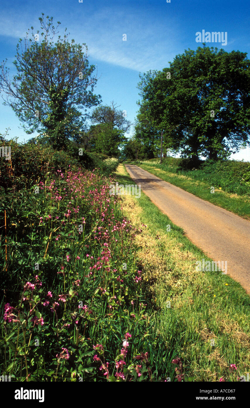 Country lane Northamptonshire England Stock Photo - Alamy