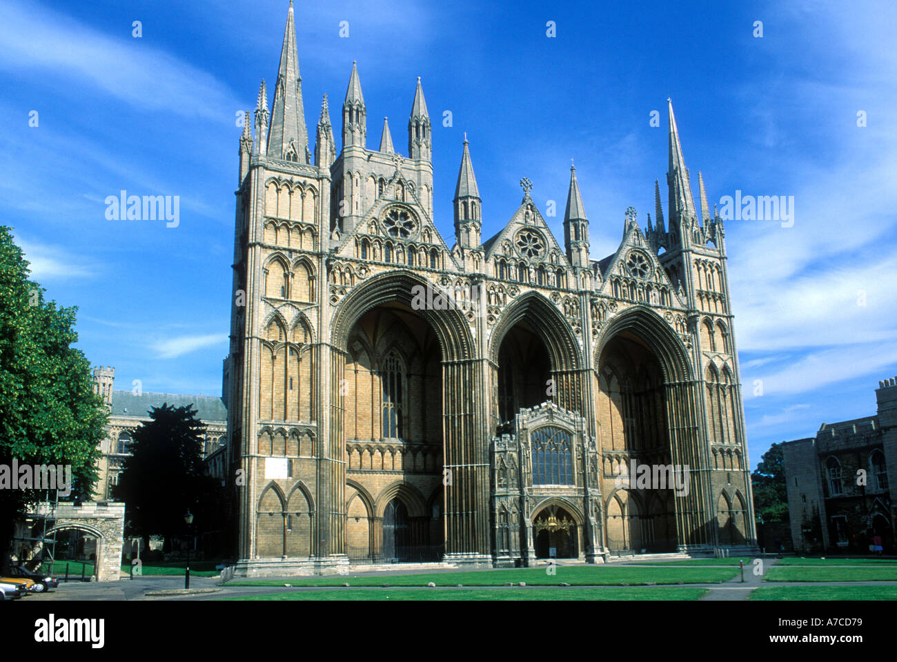 Cathedral Peterborough Cambridgeshire England Stock Photo - Alamy