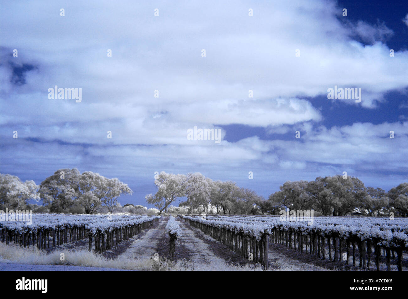 Adeliade australia hi-res stock photography and images - Alamy