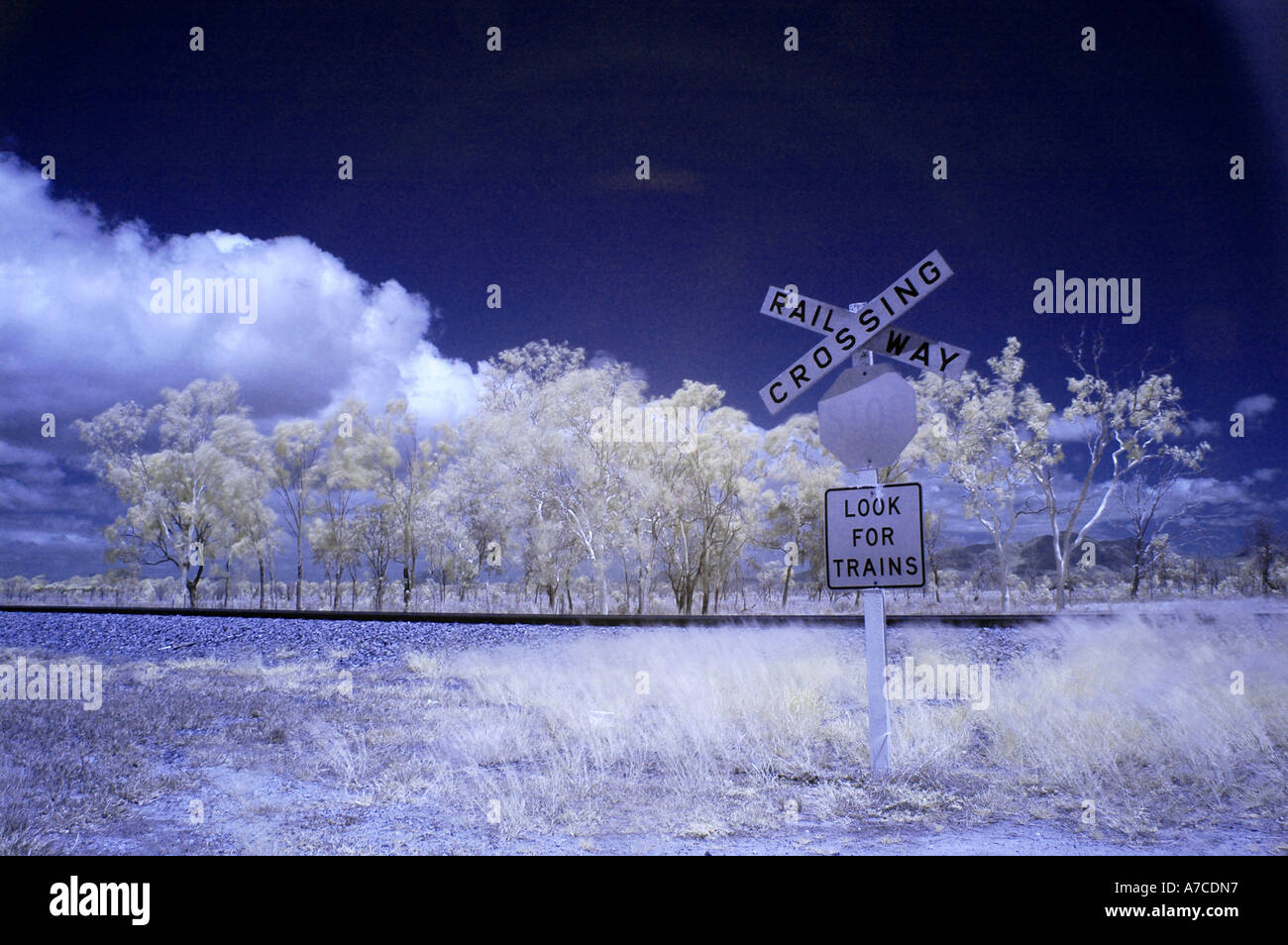Remote railway crossing in the outback between Sarena Beach and ...