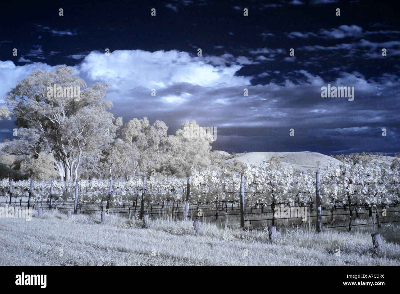 Adeliade australia hi-res stock photography and images - Alamy