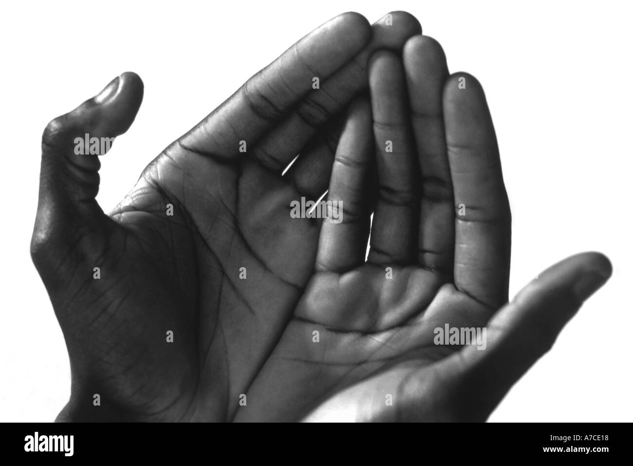 Empty black hands on white background Stock Photo - Alamy