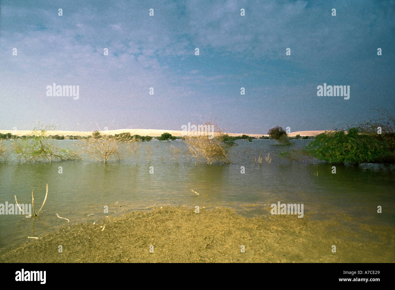 Oasis desert; niger hi-res stock photography and images - Alamy