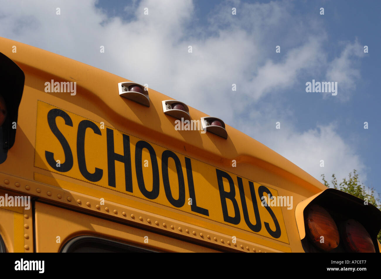 School bus Robin Nelson Stock Photo - Alamy