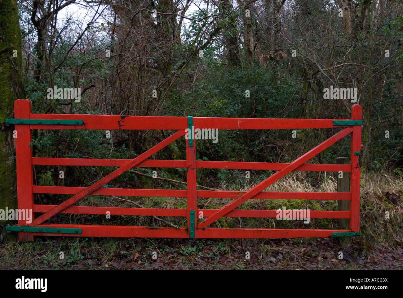 Red gate in woodland, Wales Stock Photo - Alamy