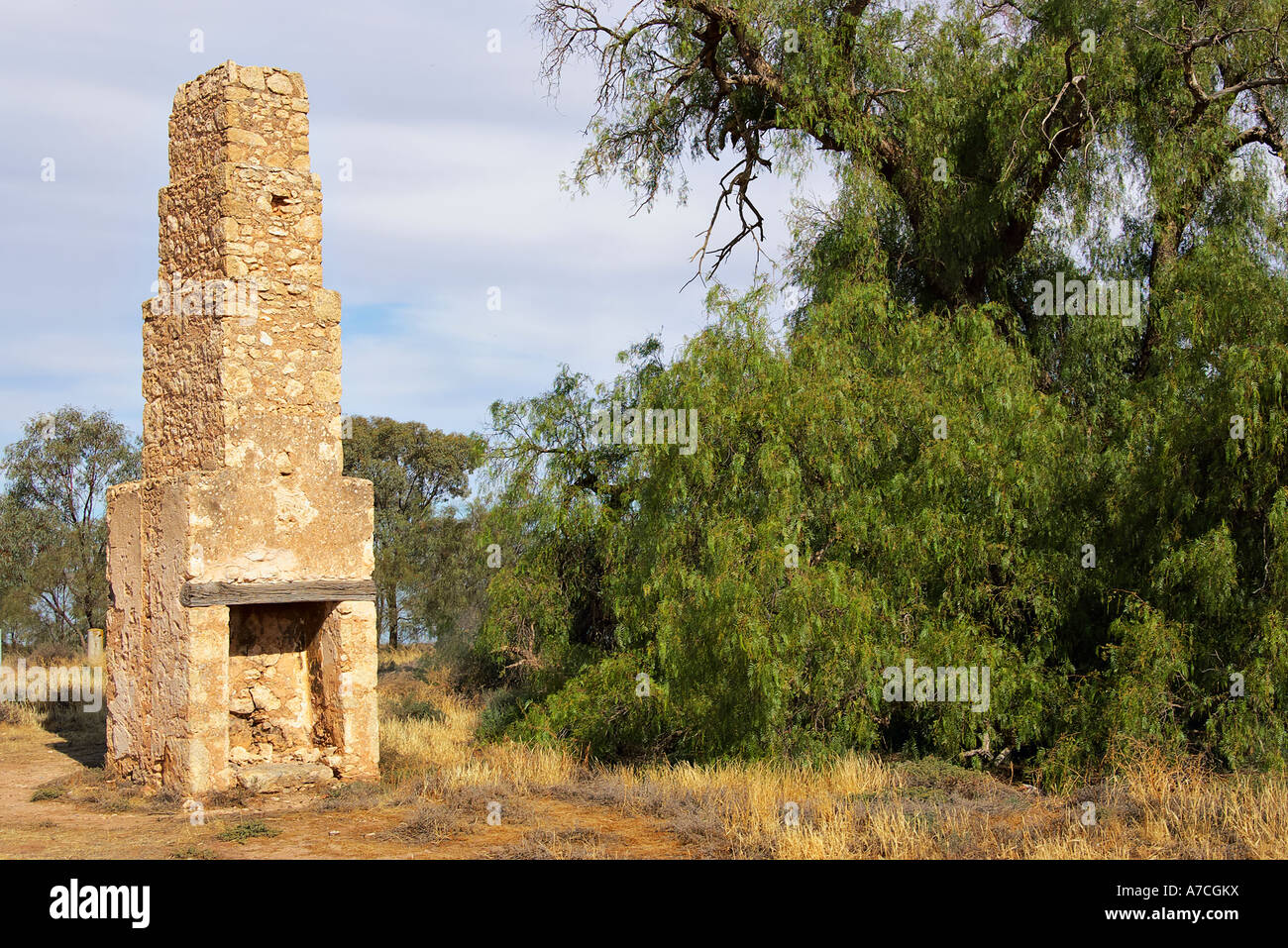 Peppercorn tree hi-res stock photography and images - Alamy
